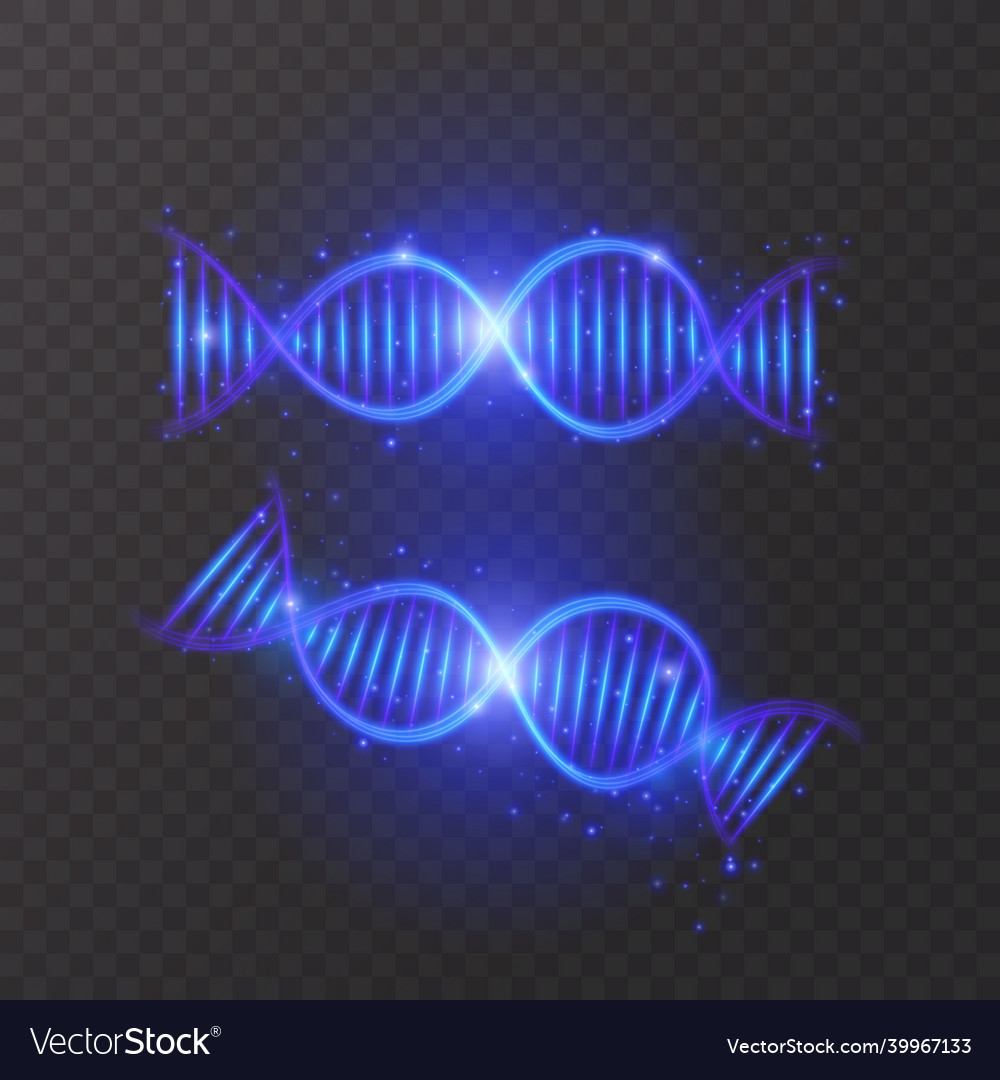 Dna design format Royalty Free Vector Image - VectorStock