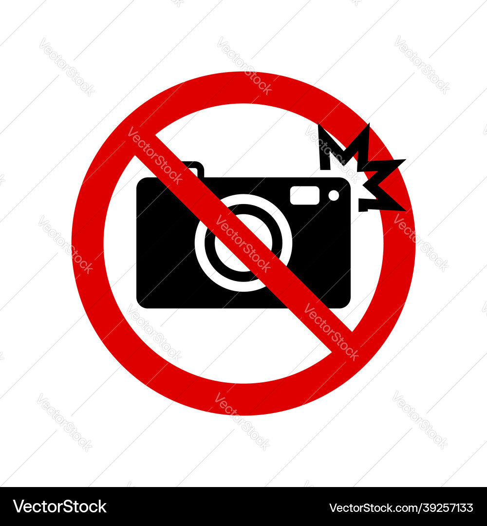 No flash prohibition sign symbol isolated Vector Image