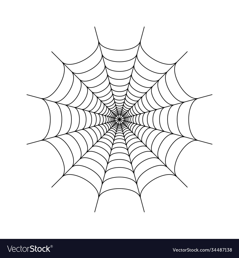 Spider web concept Royalty Free Vector Image - VectorStock