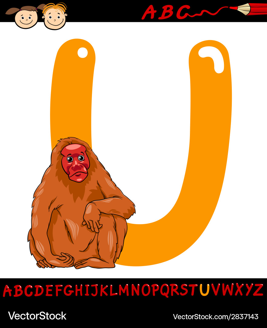 Letter u for uakari cartoon Royalty Free Vector Image