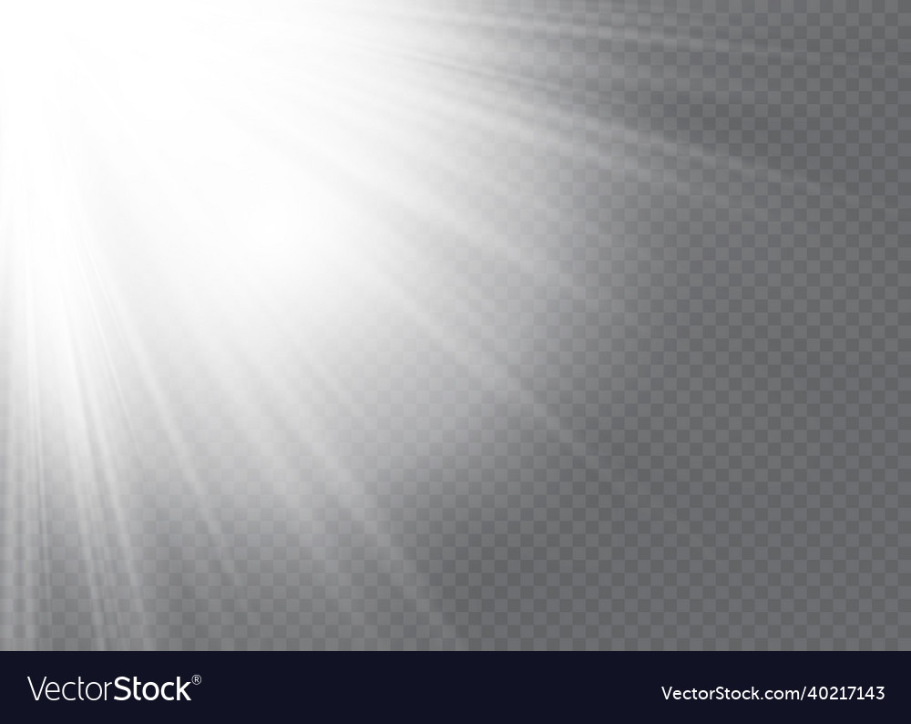 White glowing light explodes on a transparent Vector Image