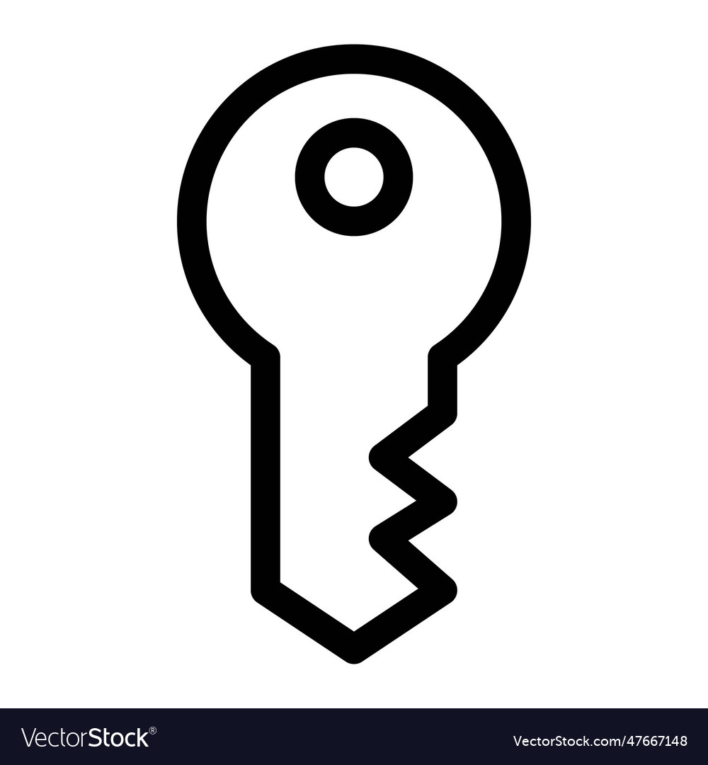Cyberspace smart key with electronic coding Vector Image