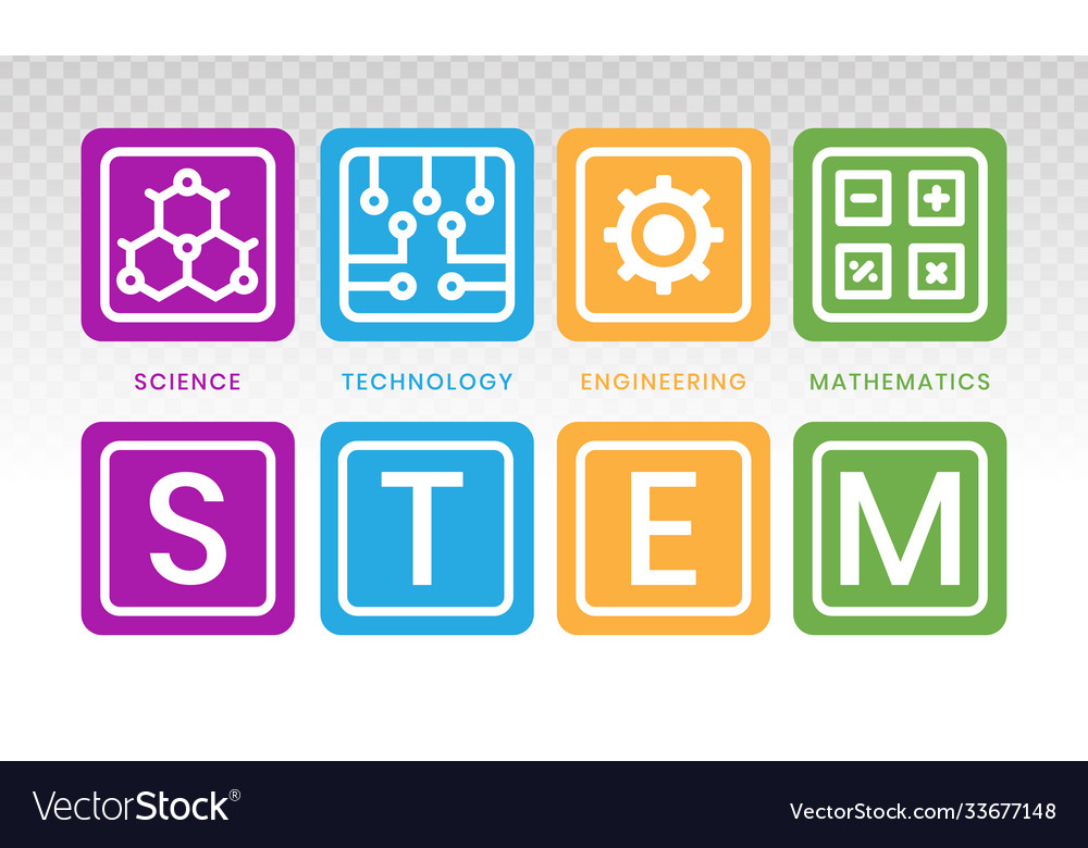 Stem education - science technology engineering Vector Image
