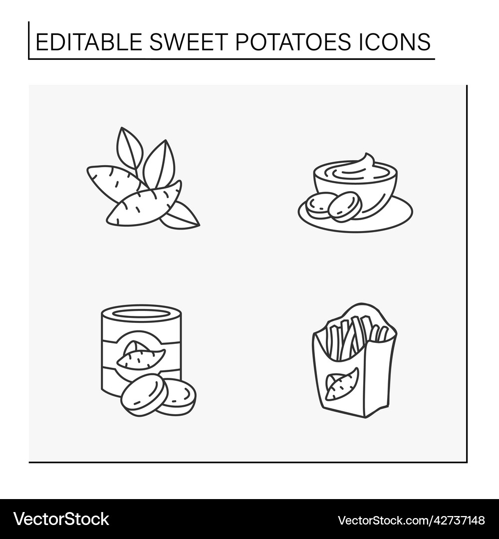 Sweet potato line icons set Royalty Free Vector Image