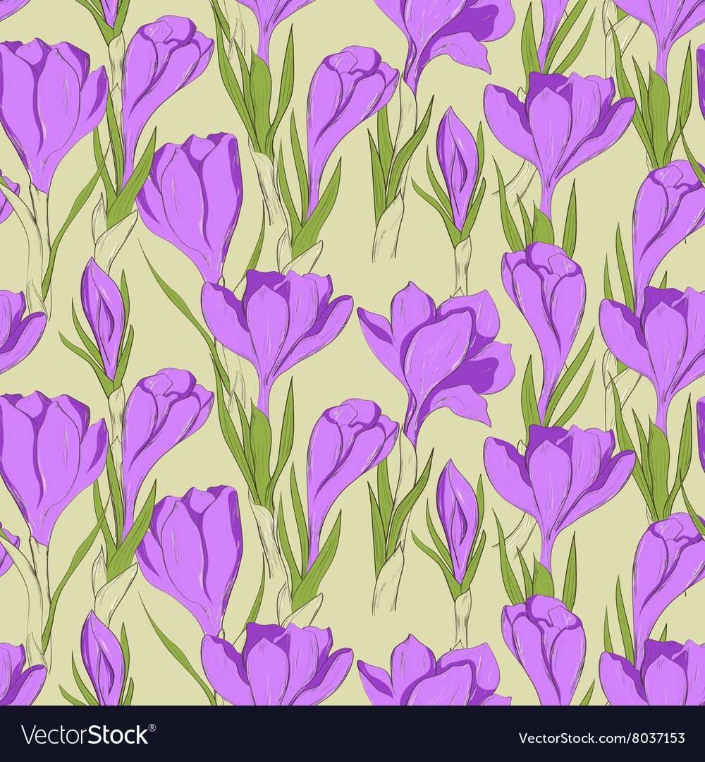 Crocus seamless pattern 2 Royalty Free Vector Image