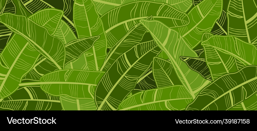 Tropical banana leaf background Royalty Free Vector Image