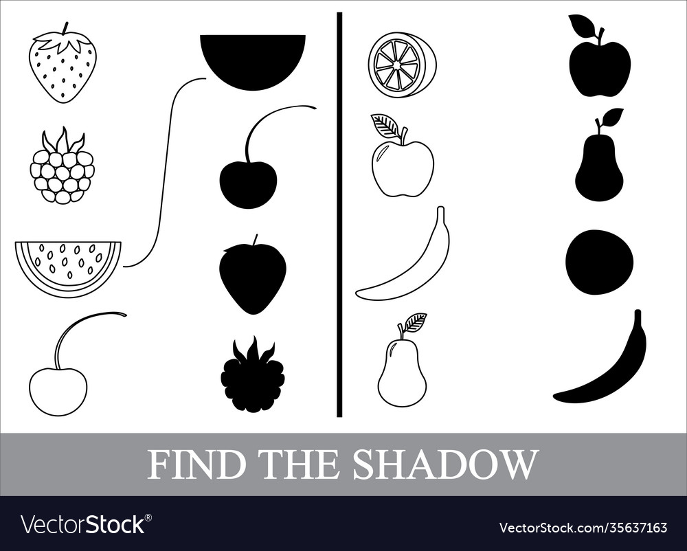 Color berries and fruits find correct Royalty Free Vector