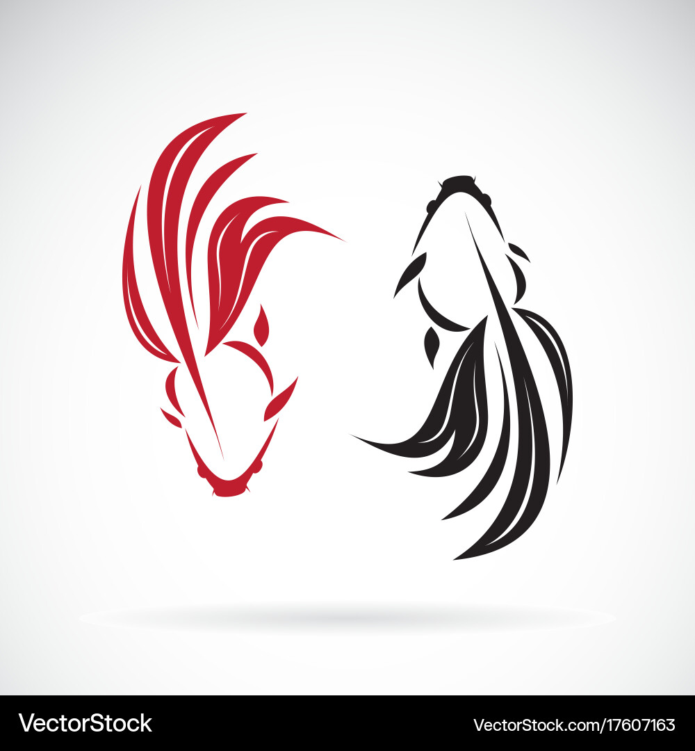 Goldfish design on white background pet animals Vector Image