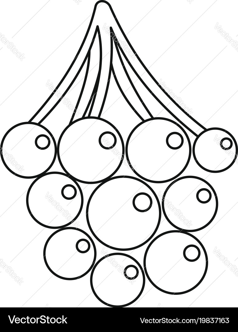 Small grape icon outline style Royalty Free Vector Image