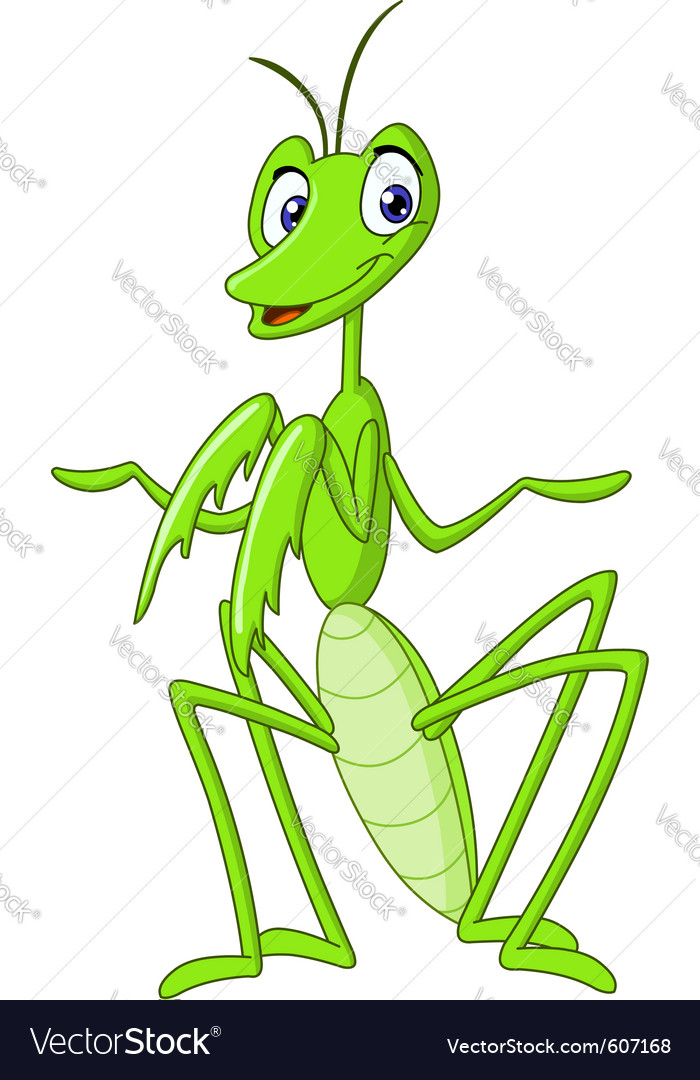 Praying mantis Royalty Free Vector Image - VectorStock