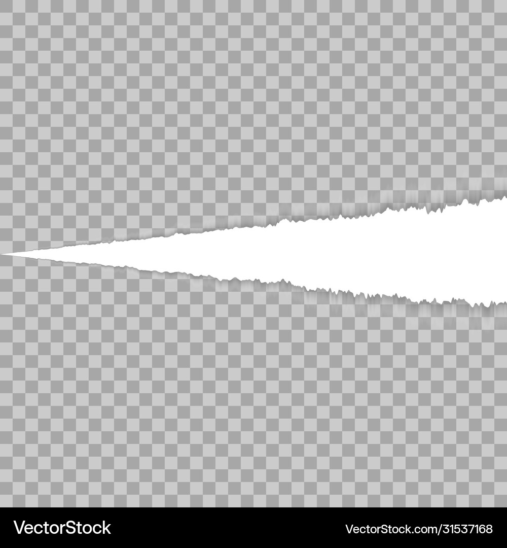 Ripped paper with transparent background snatched Vector Image