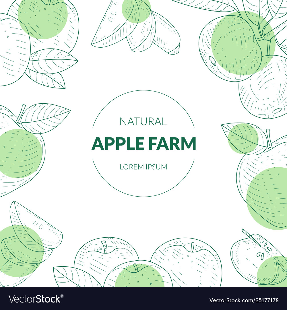 Apple farm banner template with organic natural Vector Image