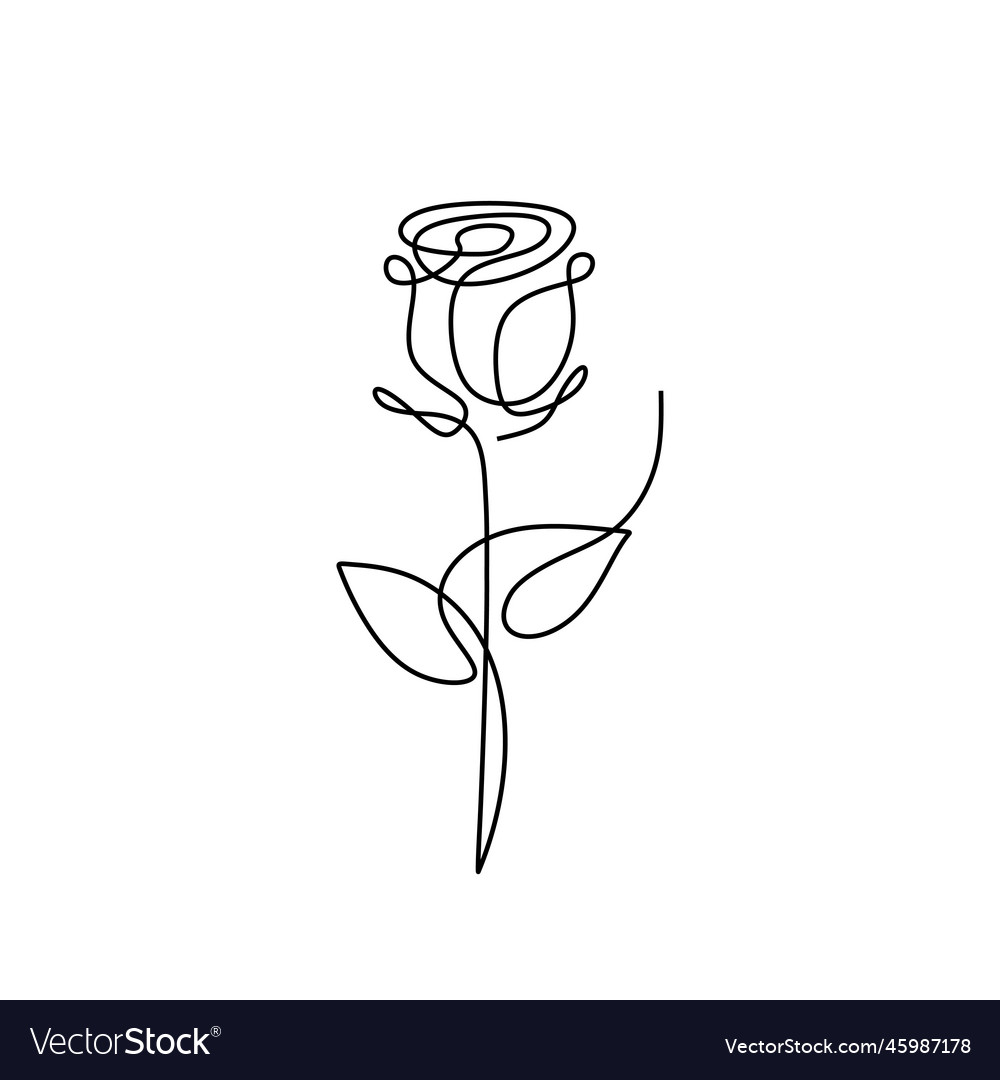 Rose flower line art of minimalist plant Vector Image