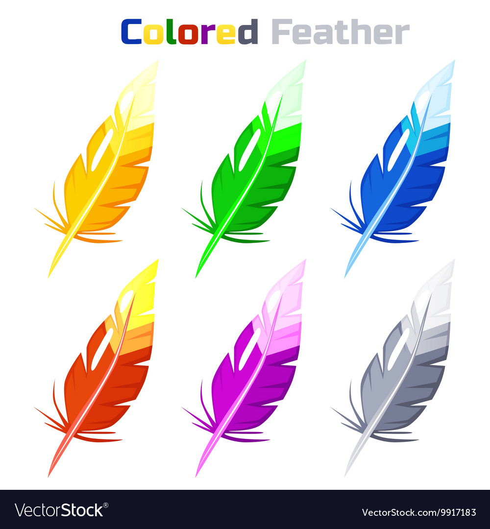 Colored Feather isolated on white background Vector Image
