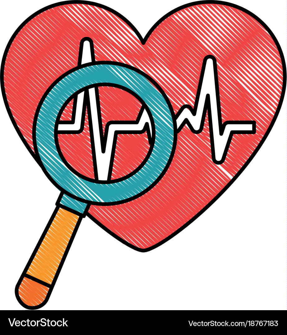 Heart cardiology with magnifying glass Royalty Free Vector