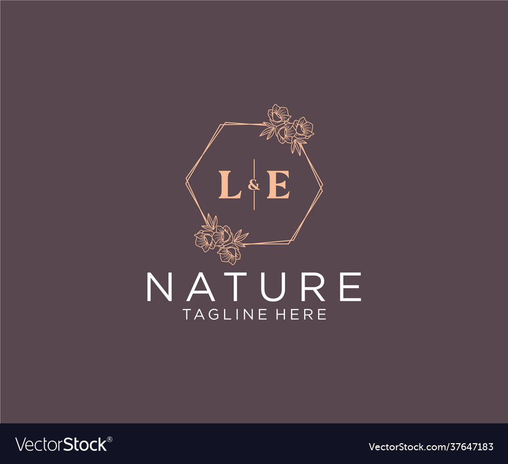 Initial le letters floral frames botanical Vector Image Initial le letters floral frames botanical Vector Image