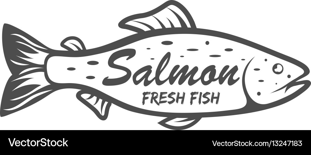 Salmon icon saltwater fish isolated on white Vector Image
