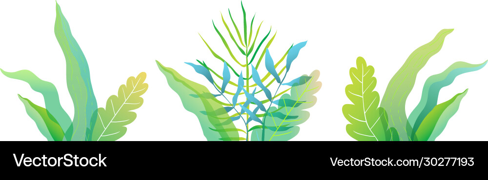 Fresh spring or summer green florals leaves and Vector Image