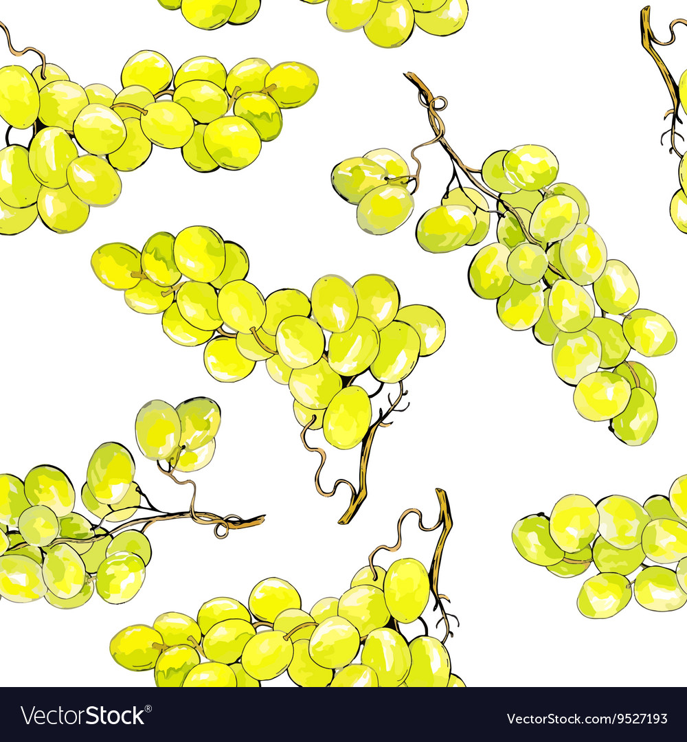 Grapes seamless pattern Royalty Free Vector Image