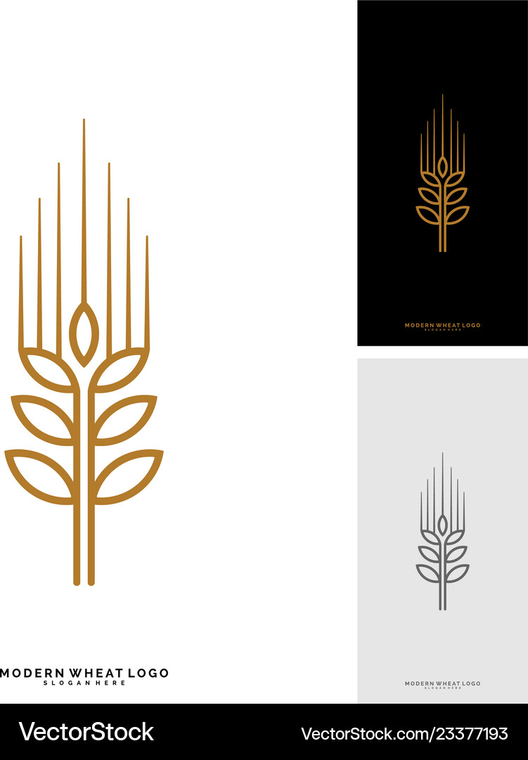 Wheat luxury grain and bread labels nature wheat Vector Image