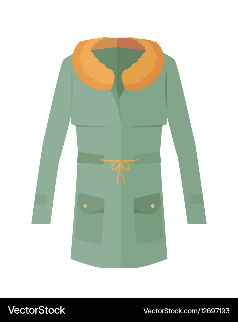 Women jacket with fur collar isolated on white Vector Image