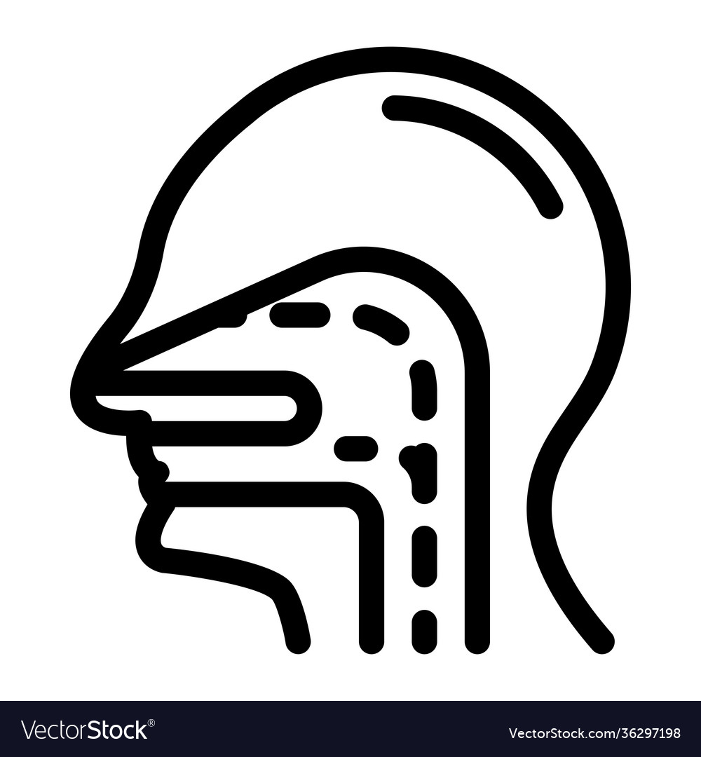 Pharynx Royalty Free Vector Image - VectorStock Pharynx Royalty Free Vector Image - VectorStock