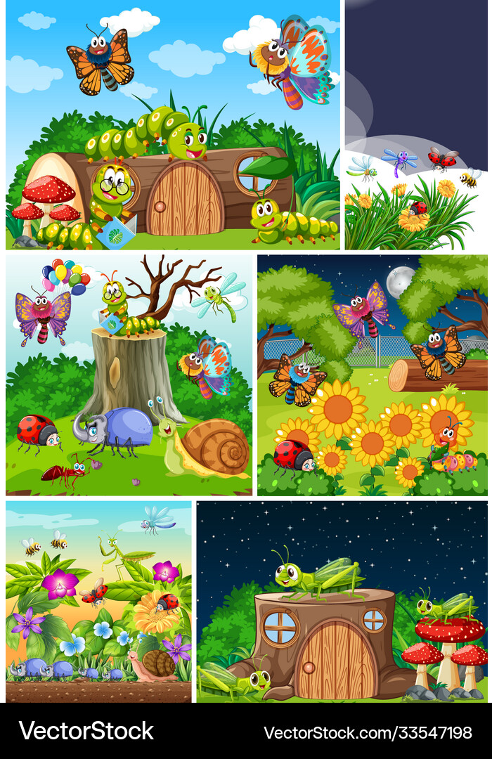 Set different insects living in garden Royalty Free Vector