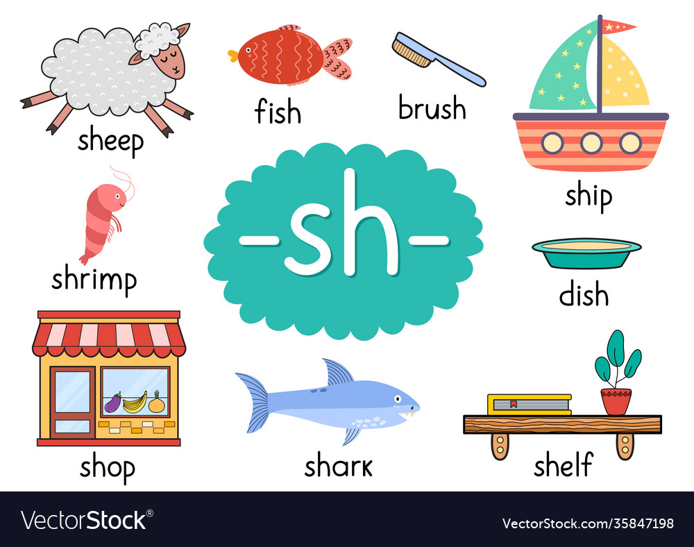 Sh Digraph With Words Educational Poster For Kids Vector 47 OFF