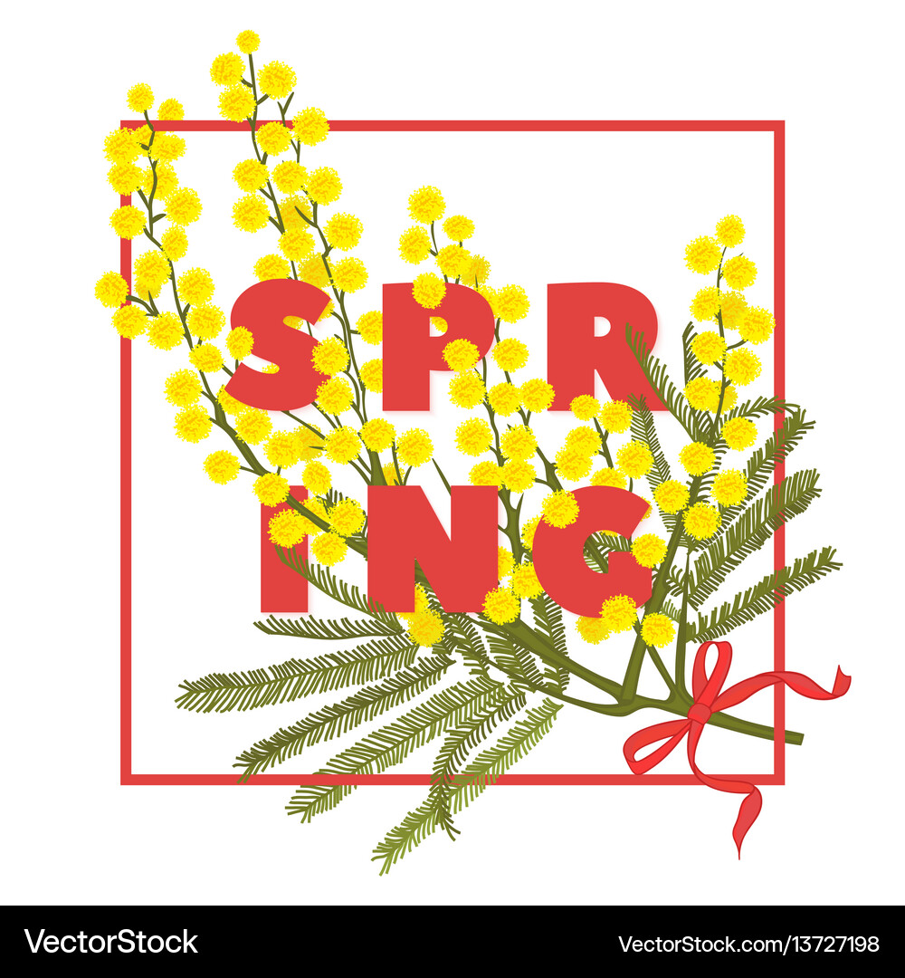 Spring floral background with beautiful miosa Vector Image