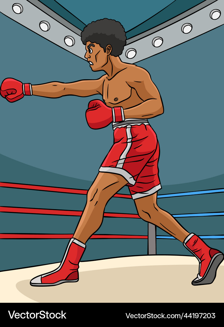 Boxing sport colored cartoon Royalty Free Vector Image