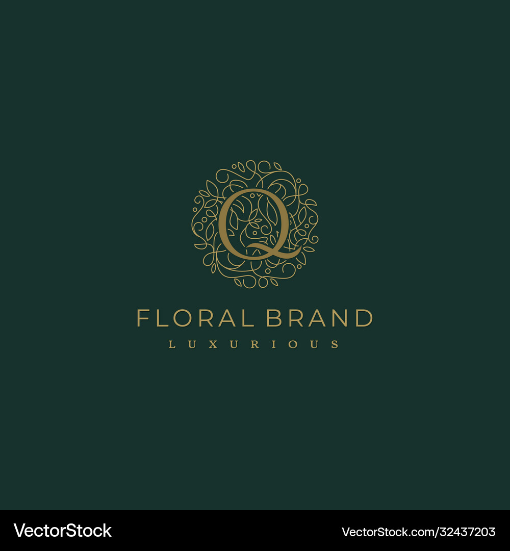 Letter q circle floral botanical leaf logo design Vector Image