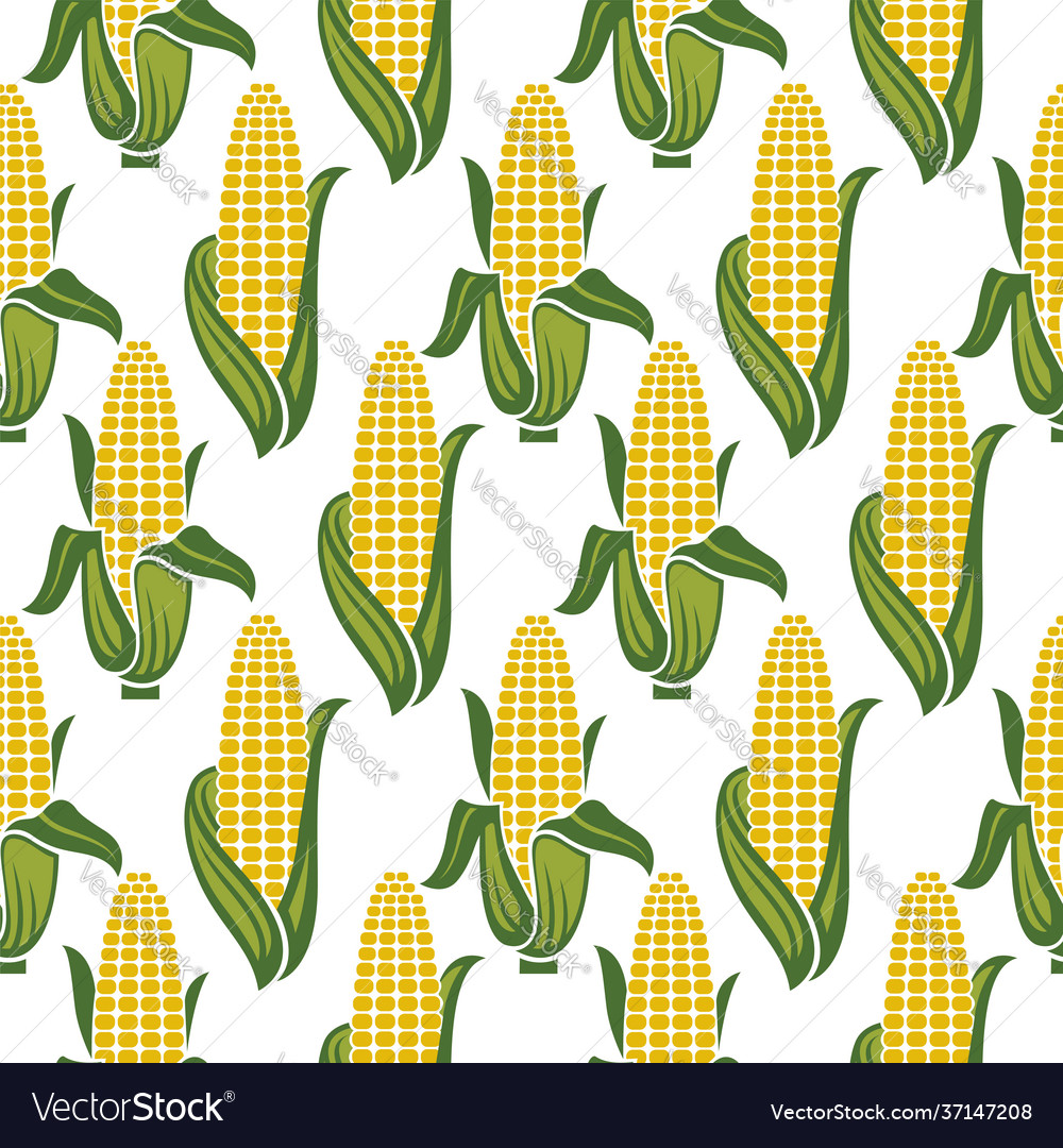 Corn seamless pattern Royalty Free Vector Image