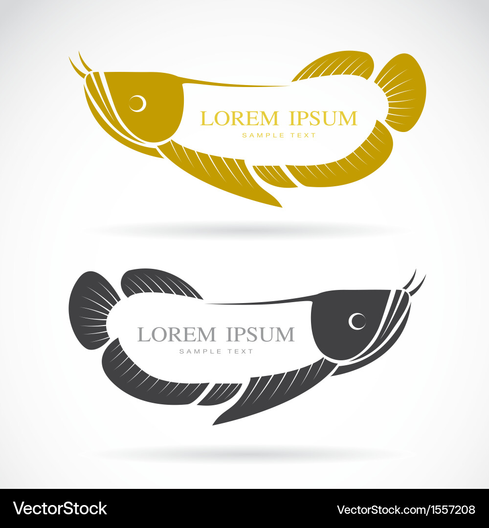 Fish Royalty Free Vector Image - VectorStock