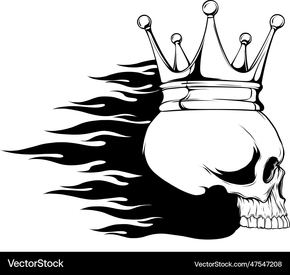 Of outline human skull design Royalty Free Vector Image