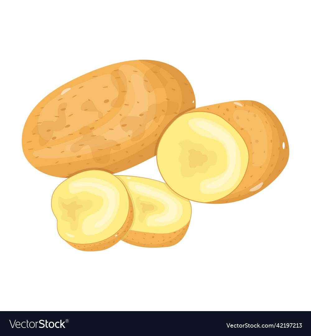 Potatoes Royalty Free Vector Image - VectorStock