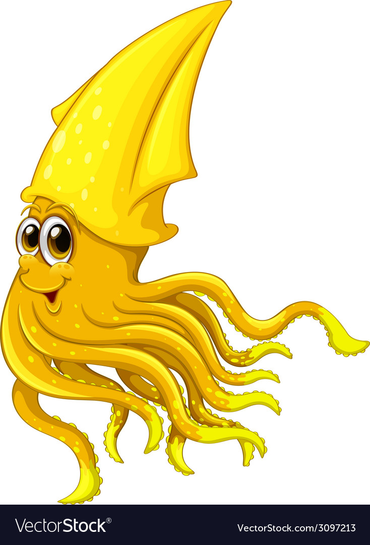 Squid Royalty Free Vector Image - VectorStock