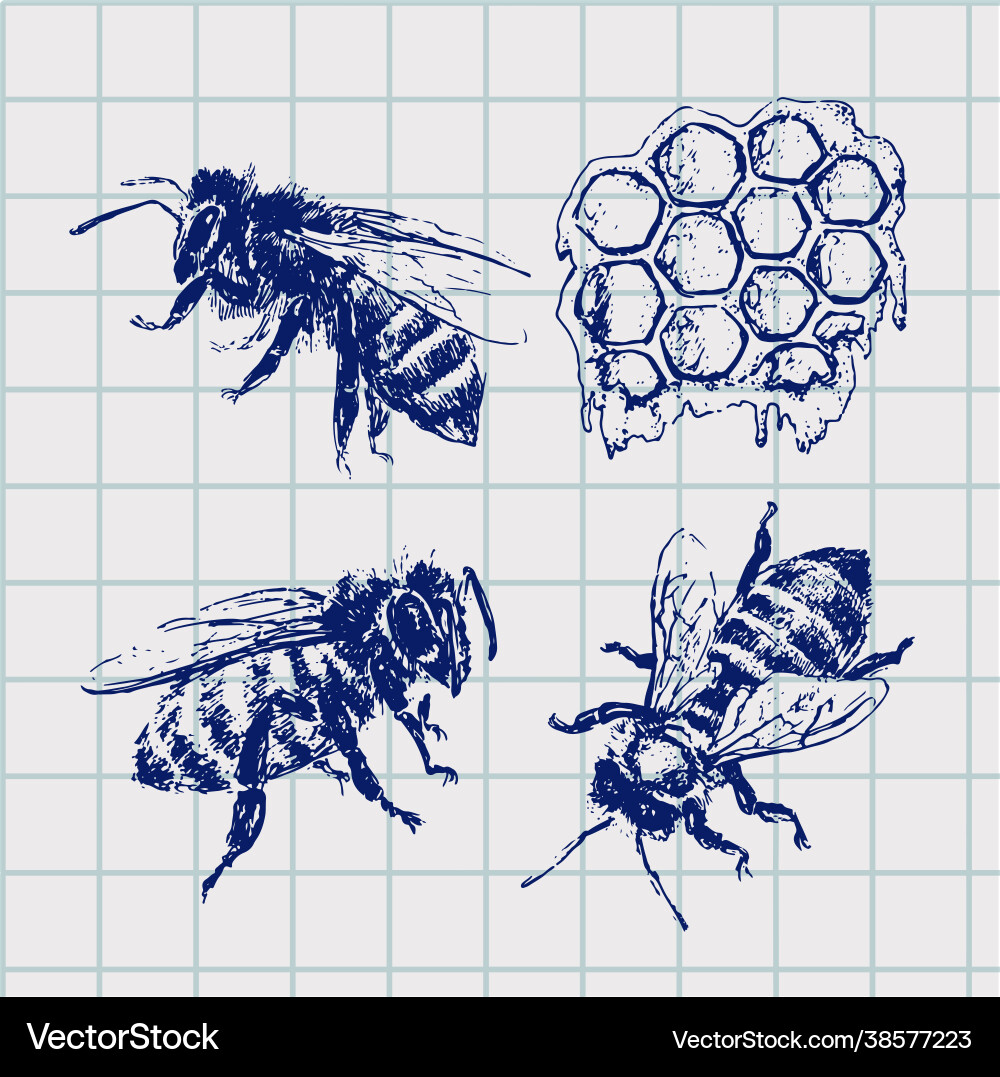 Hand drawn bee sketch black honey Royalty Free Vector Image