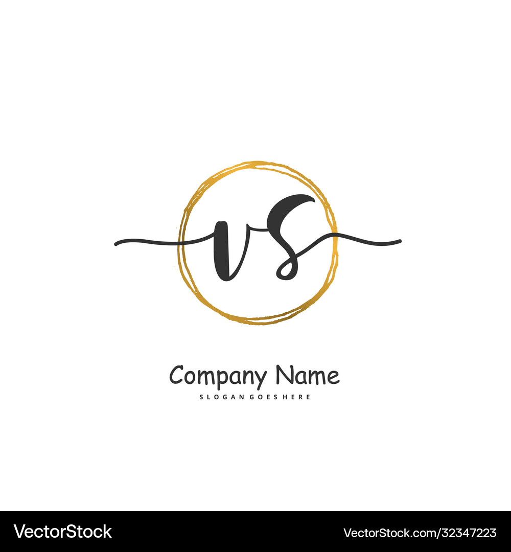 V s vs initial handwriting and signature logo Vector Image