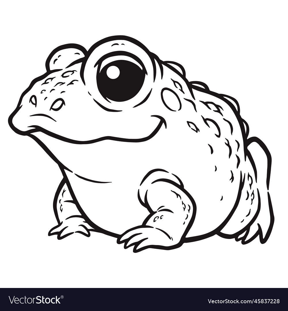 Frog Royalty Free Vector Image - VectorStock