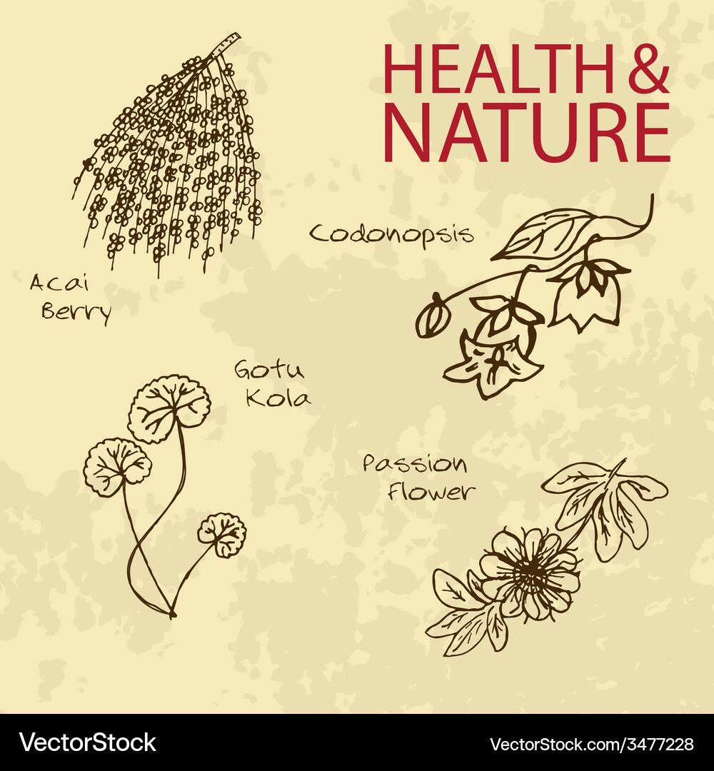 Handdrawn - health and nature set Royalty Free Vector Image
