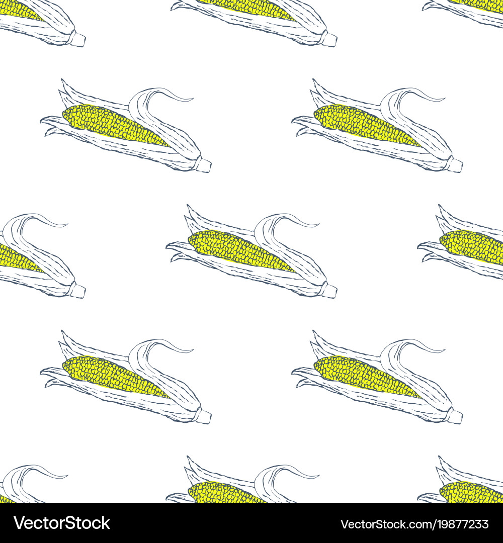 Hand drawn corn seamless pattern background Vector Image