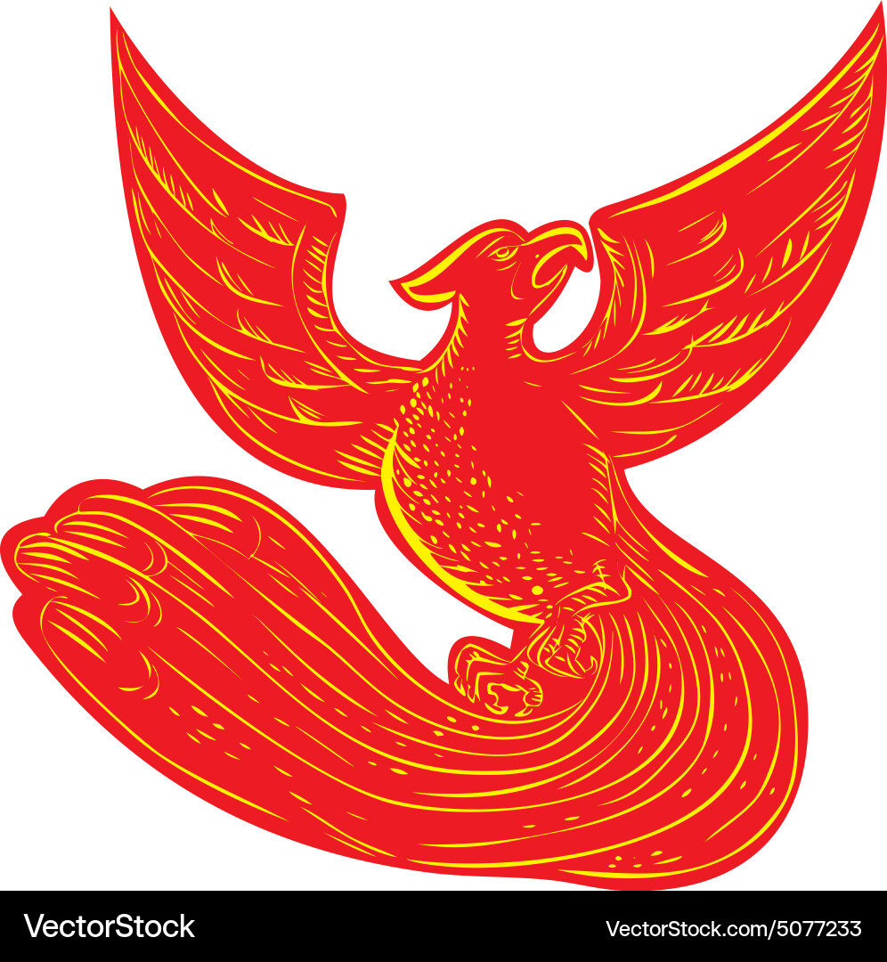Phoenix rising etching Royalty Free Vector Image