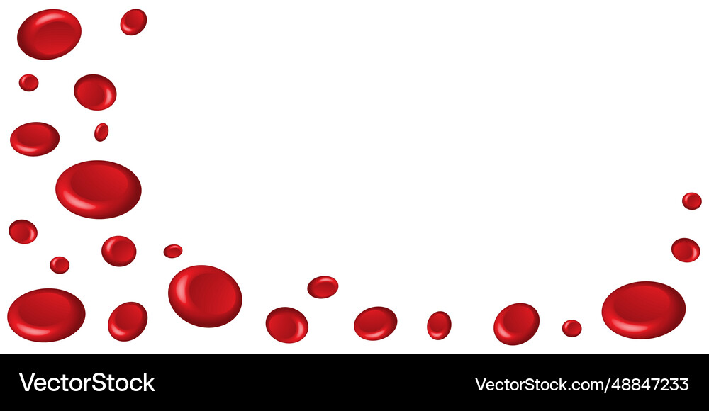 Red blood cells on isolated white background Vector Image
