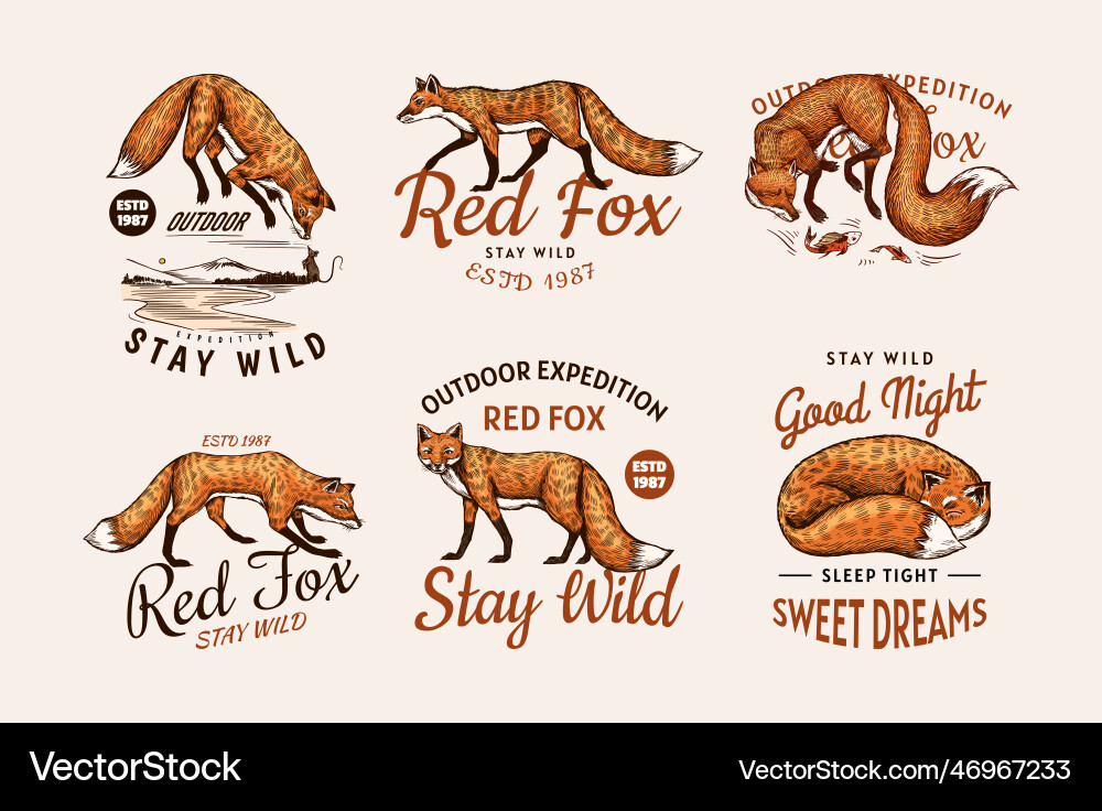 Red fox badges set forest ginger wild animal Vector Image