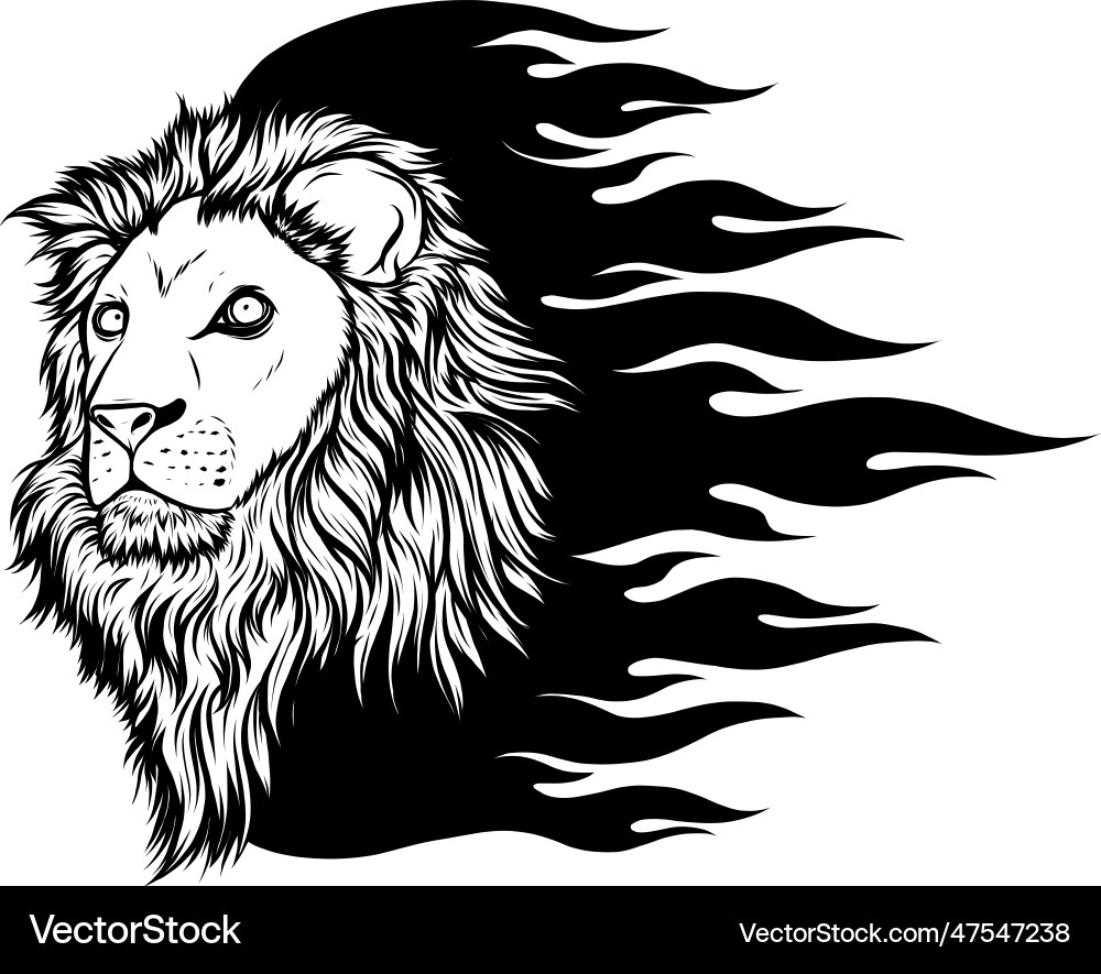 Of lion head outline design Royalty Free Vector Image