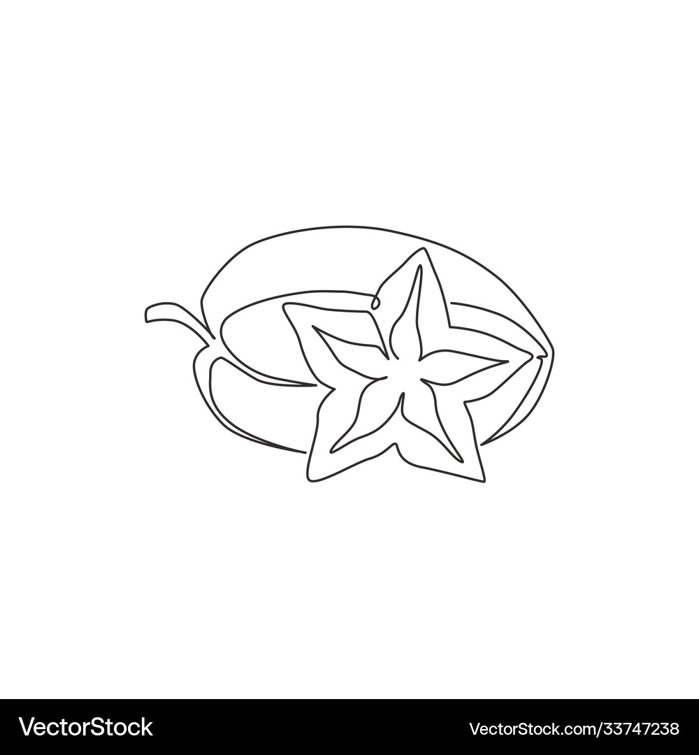 One single line drawing whole healthy organic Vector Image