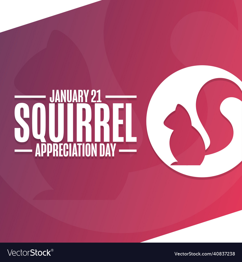 Squirrel appreciation day january 21 holiday Vector Image