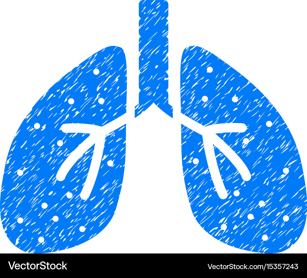 Respiratory system grunge icon Royalty Free Vector Image