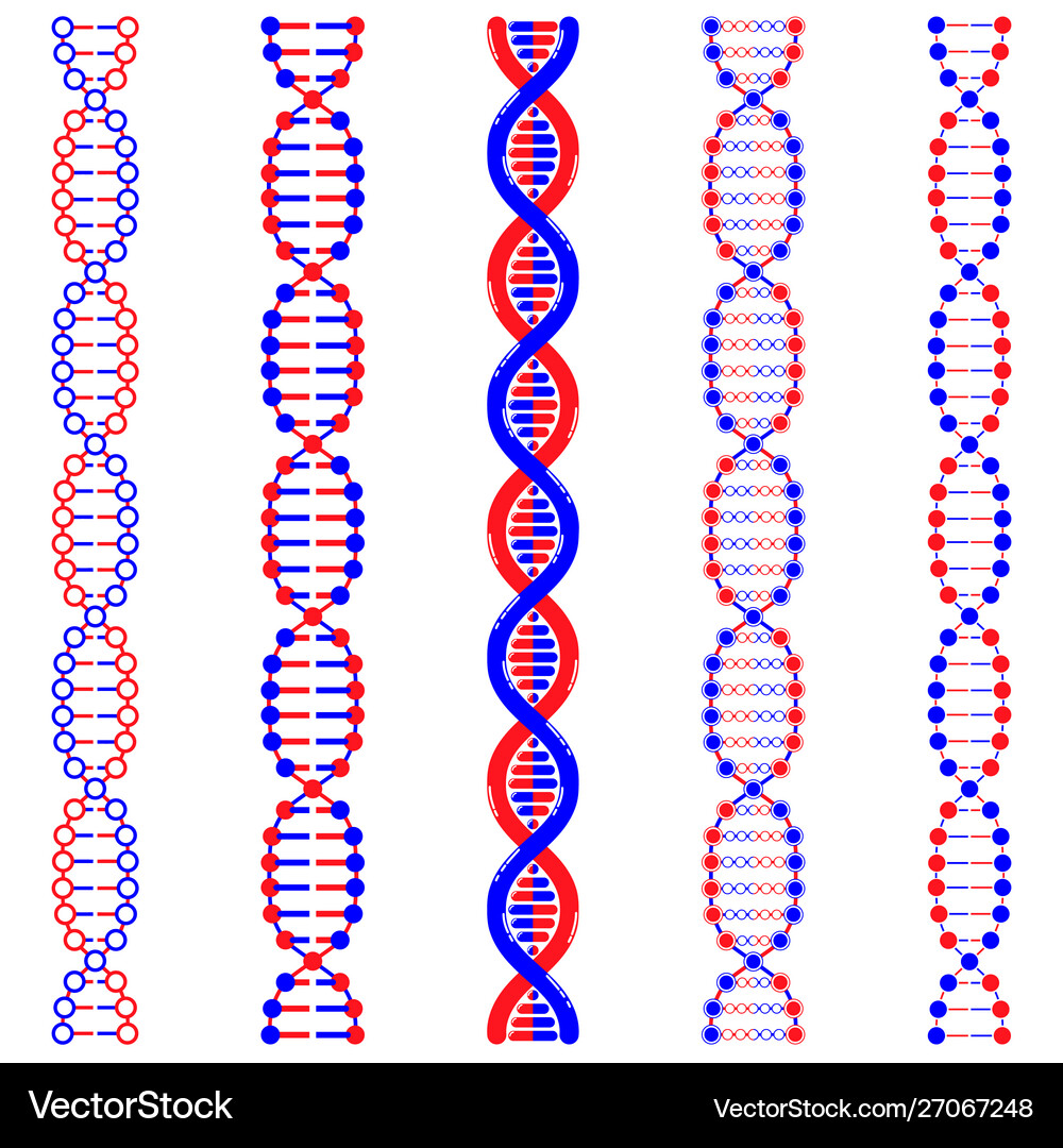 Dna genetic sign elements and icons collection Vector Image