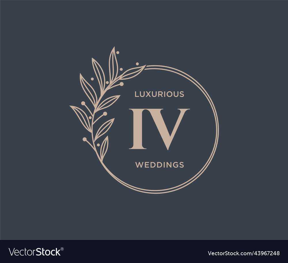 Iv initials letter wedding monogram logos Vector Image